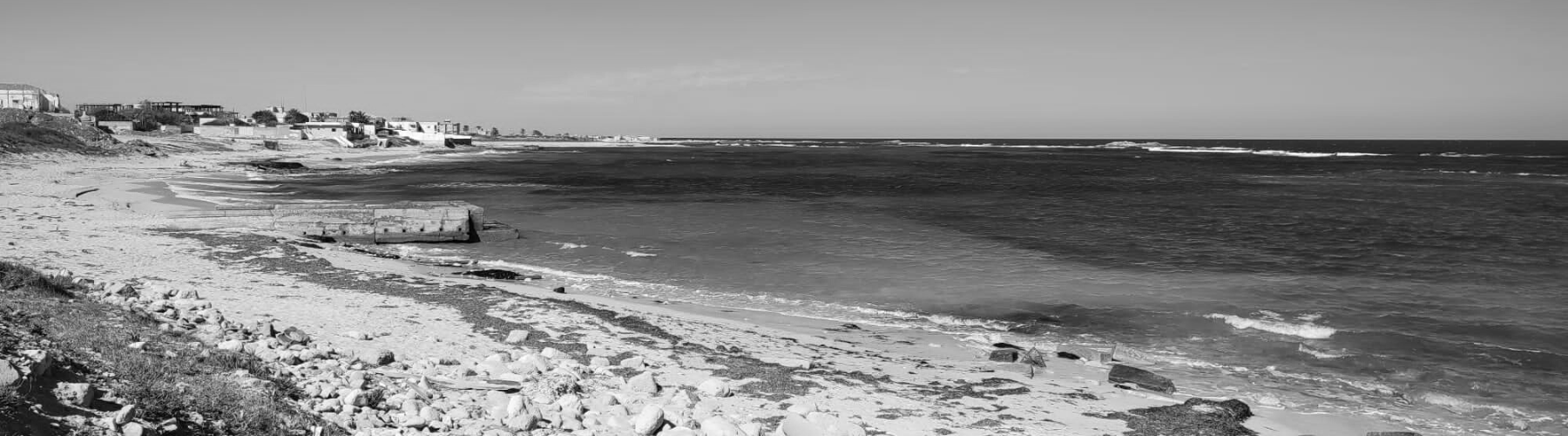 Newsletter | The U.S.-Libya Business Association